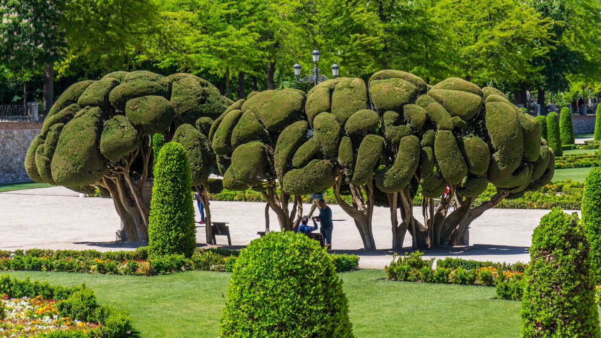 Parque del Retiro - Jardines de Madrid.com